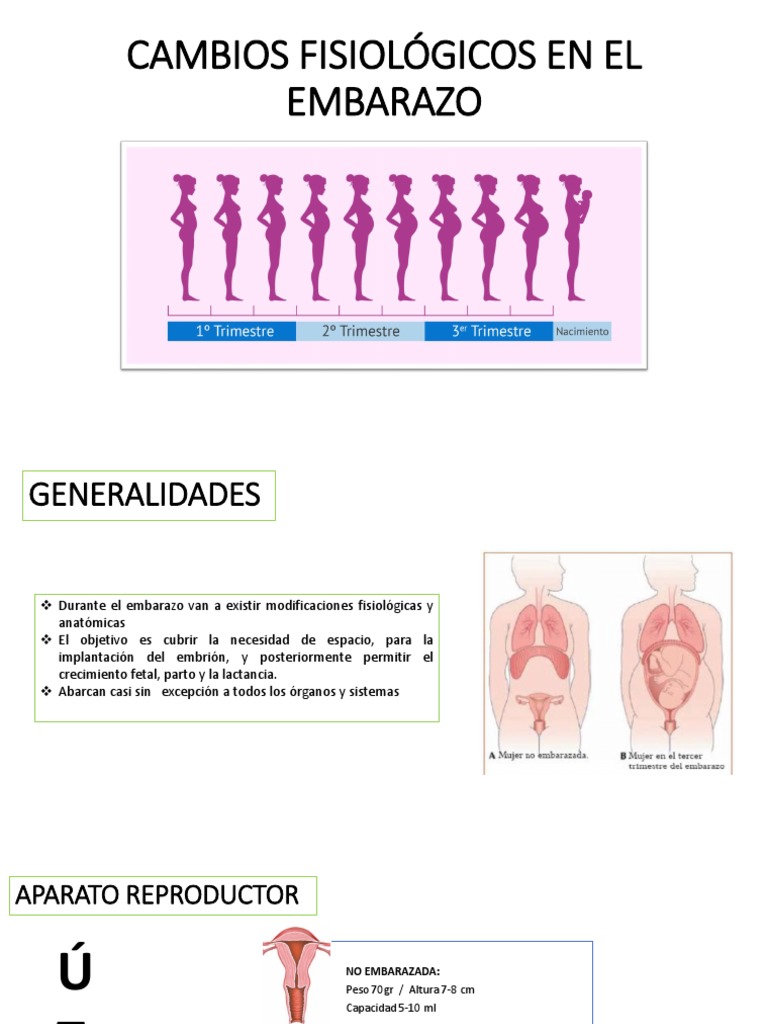 Cambios Fisiológicos en El Embarazo | PDF