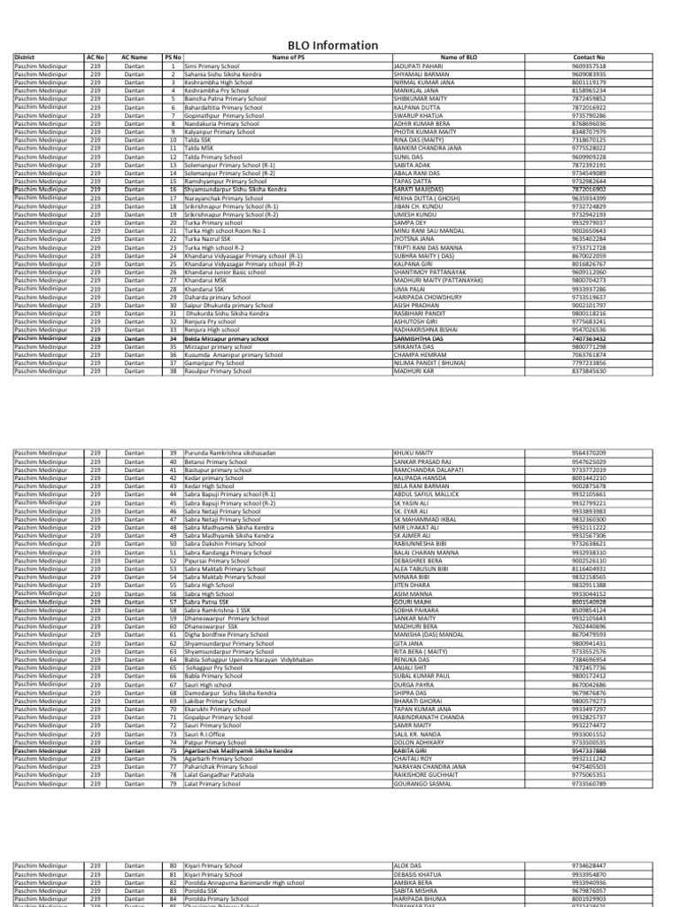 Blo Information PM | PDF