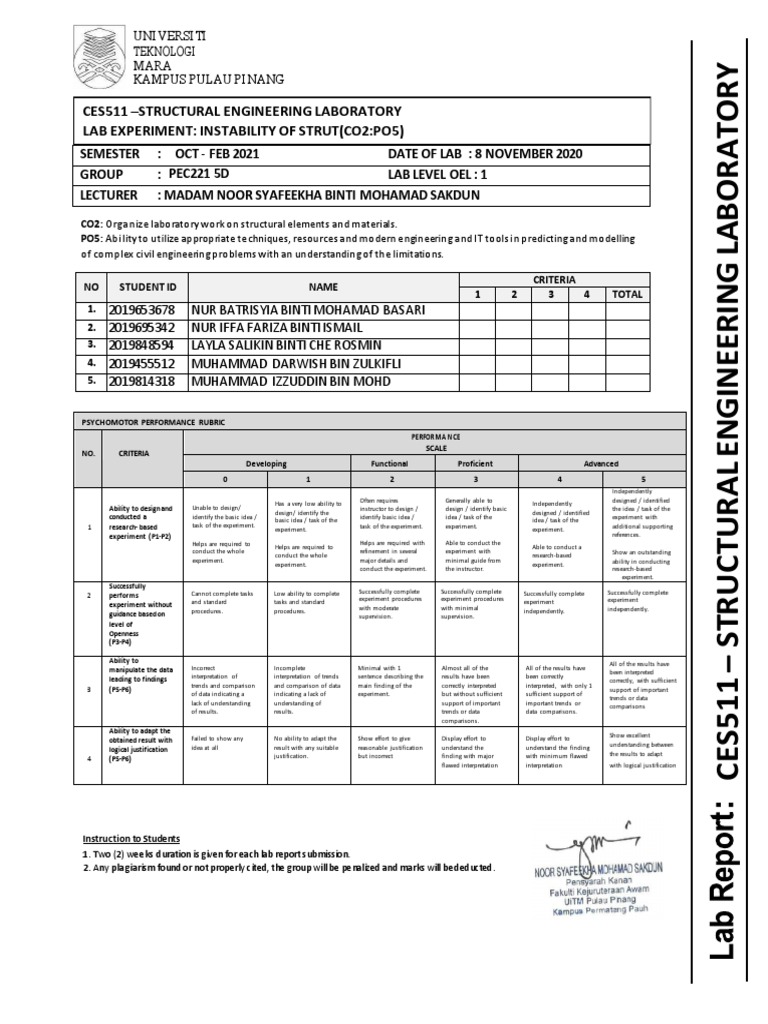 LAB REPORT BUCKLING OF STRUTS (Reference) | Download Free PDF ...