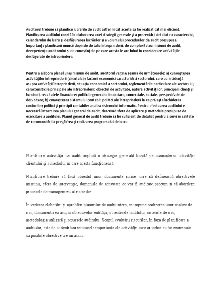 Proiect Audit Intern | PDF