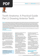 Dental Anatomy Drawing Manual | PDF | Dental Anatomy | Dentistry