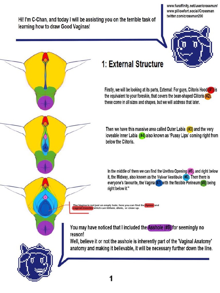 Coochie Drawing | PDF