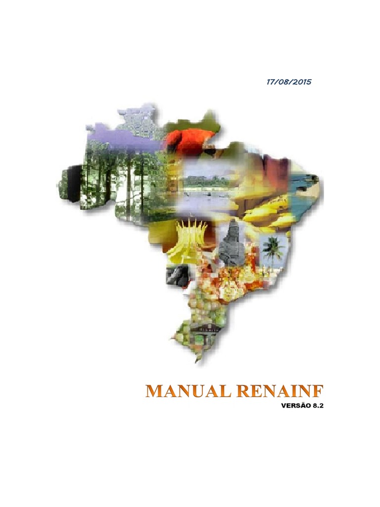Manual RENAINF - Versao 8.2 | PDF | Carteira de Motorista | Transação ...