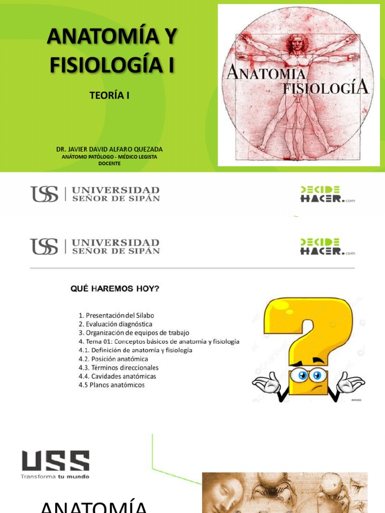 Conceptos Básicos de Anatomía y Fisiología | PDF | Anatomía | Biología Celular)