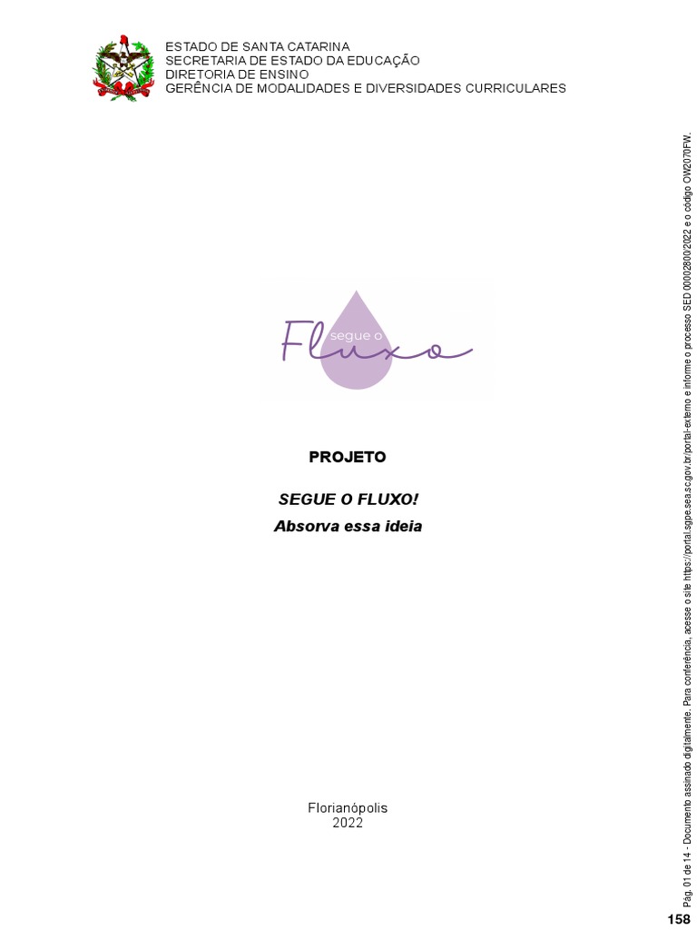 Projeto: SEGUE O FLUXO! Absorva Essa Ideia | PDF