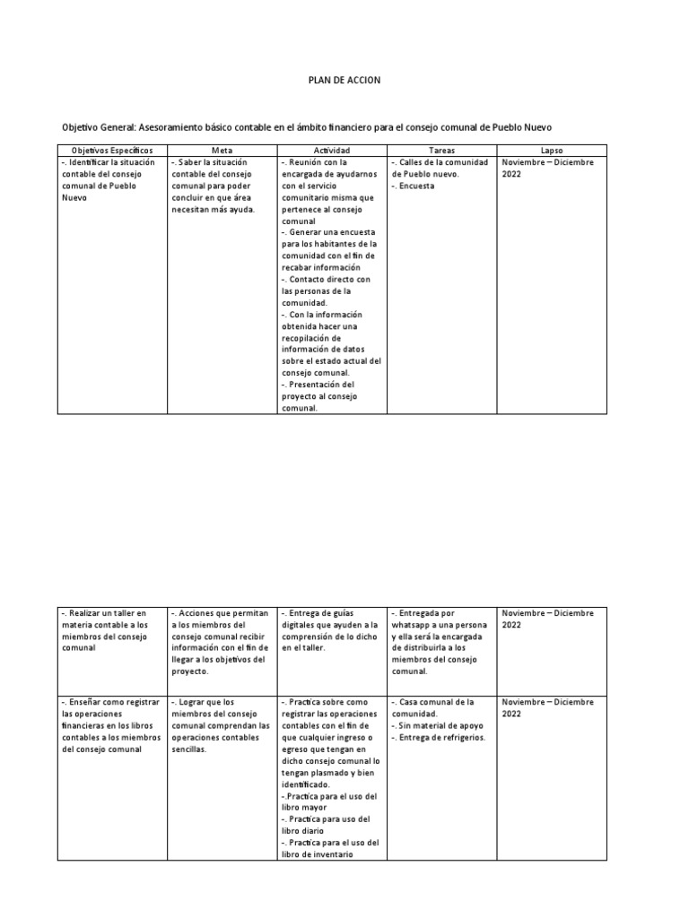 Formato de Plan de Acción | PDF