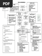 SDKI SLKI SIKI Hipertermia | PDF