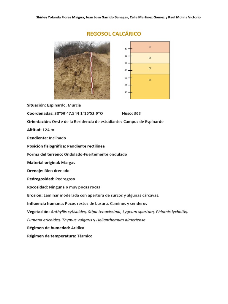 Clasificación del Regosol Calcárico | PDF | Geomorfología | Ciencia del ...