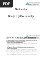 7 Marsi | PDF