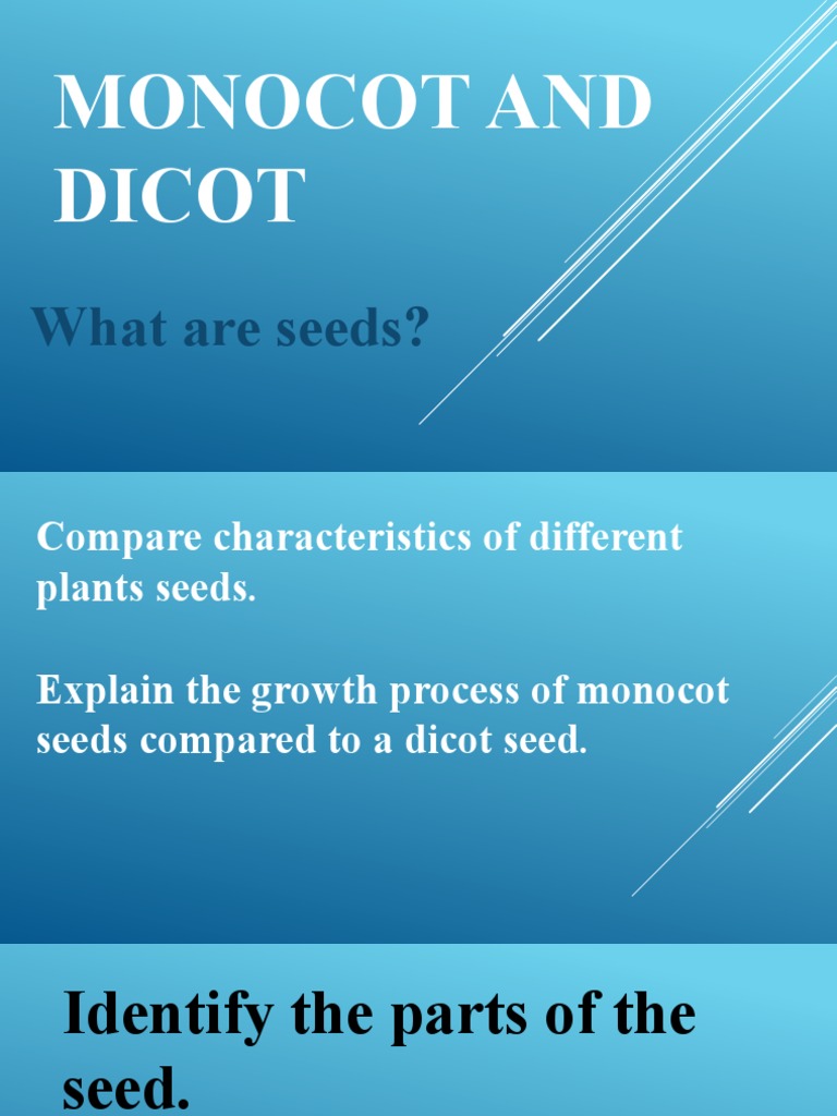 Monocot and Dicot Grade 4 | PDF