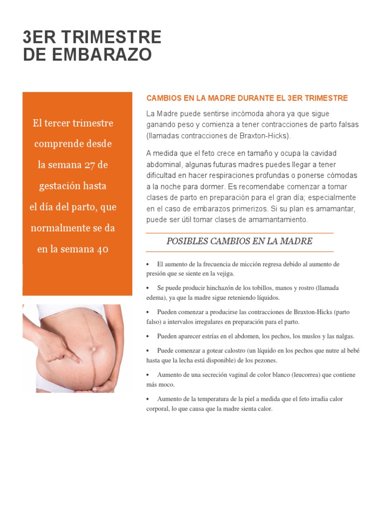 3er Trimestre EMBARAZO | Descargar gratis PDF | Parto | El embarazo