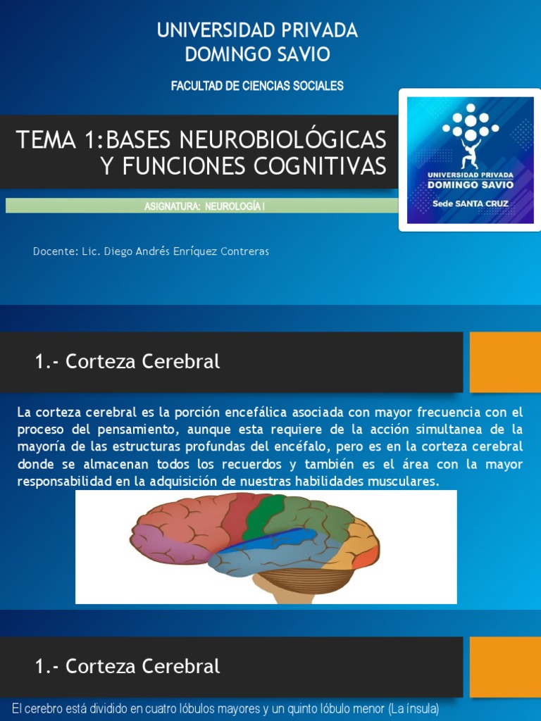 Tema 1 Bases Neurobiológicas y Funciones Cognitivas | PDF | Memoria | Atención