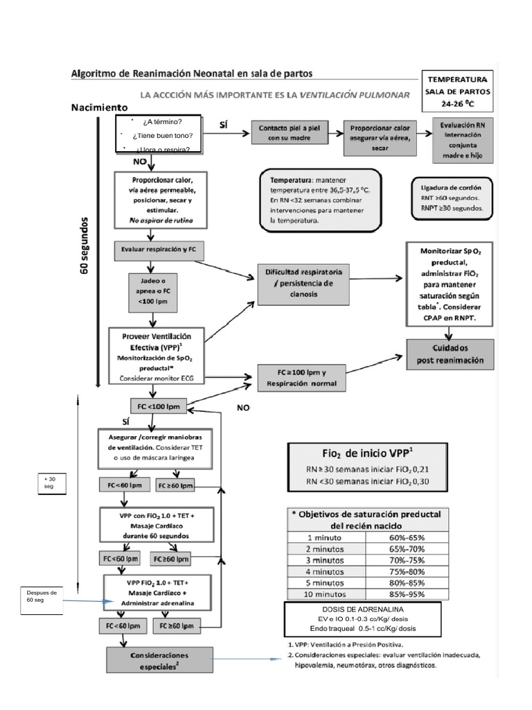 RCP Neonatal Ecoe | PDF
