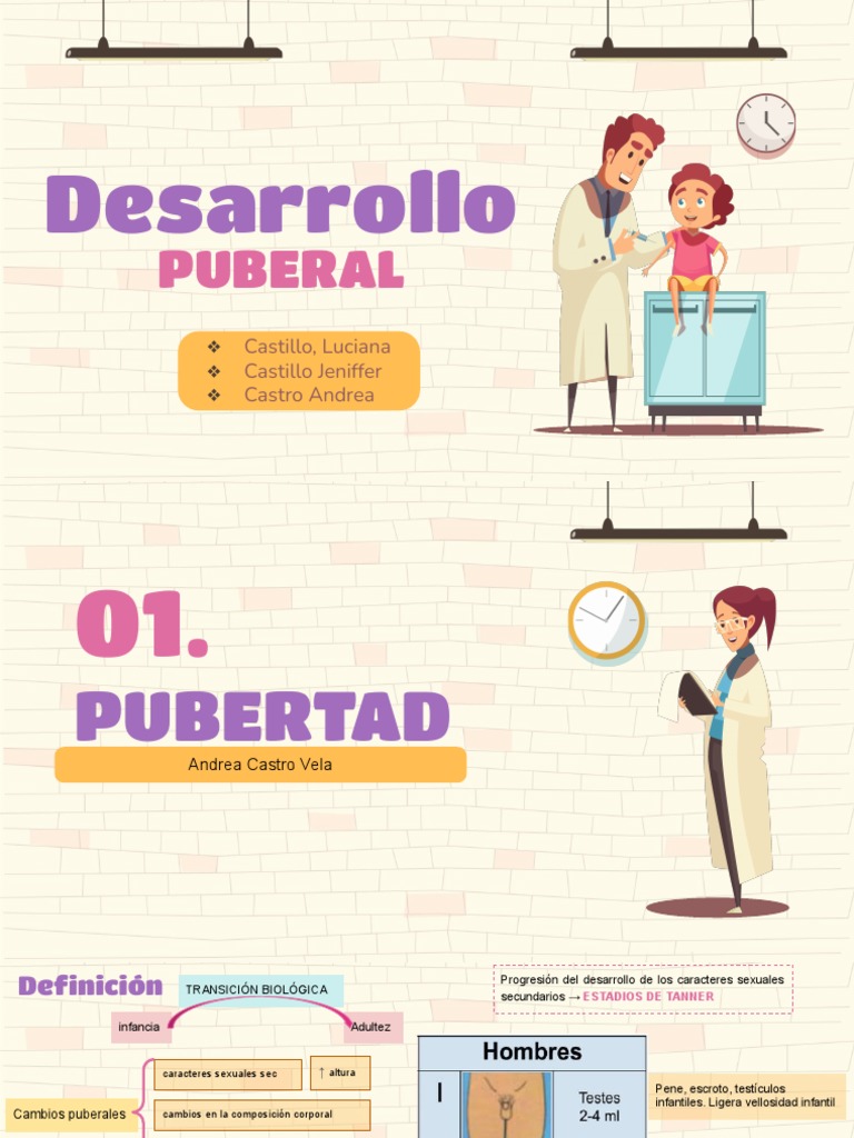 Desarrollo Puberal | PDF | Pubertad | Glándula suprarrenal