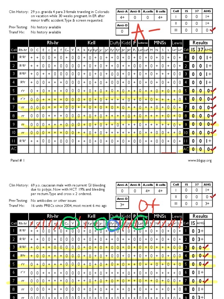 Ab Panel | PDF | Anatomy | Immunology