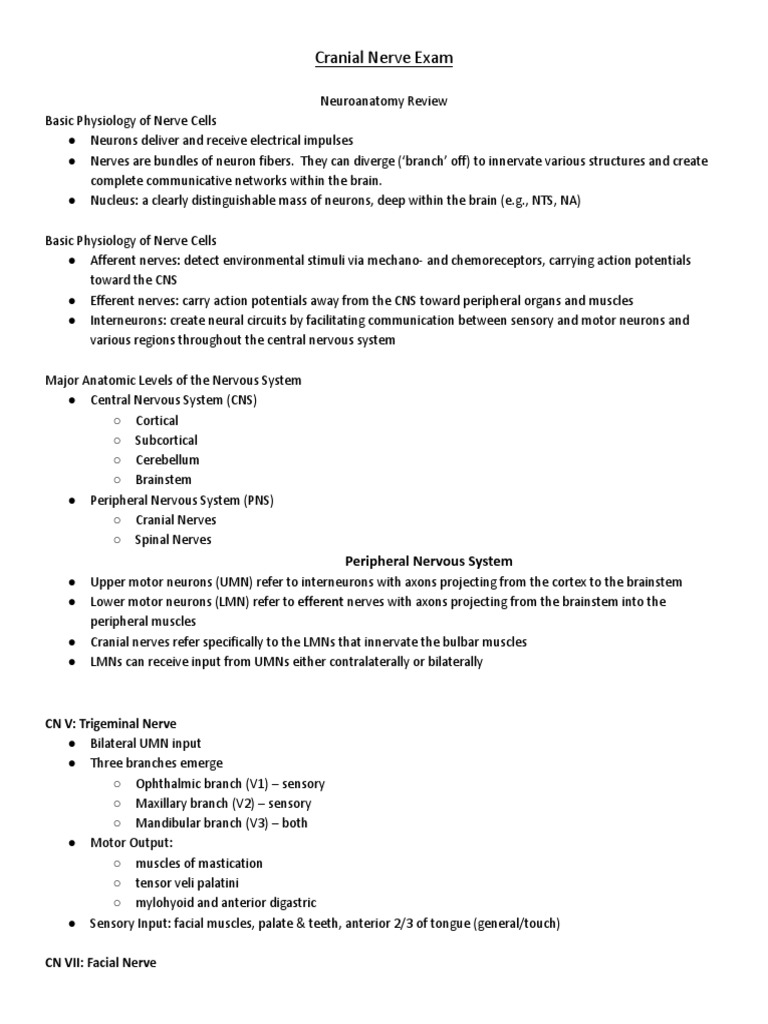 Cranial Nerve Exam | PDF | Central Nervous System | Nervous System