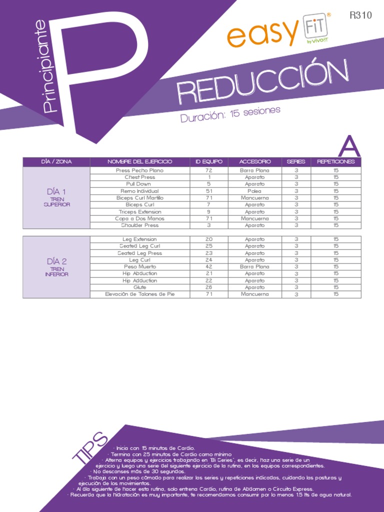 Rutina Principiante A | PDF | Entrenamiento con pesas | Ejercicio físico