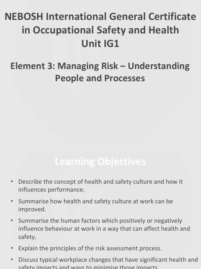 IG1 Element 3 | PDF | Risk | Occupational Safety And Health