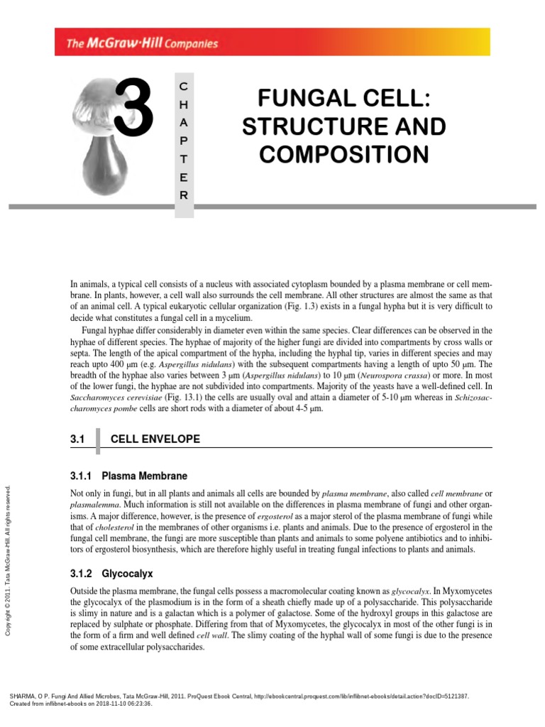 Fungi and Allied Microbes - (Chapter 3. Fungal Cell Structure and ...