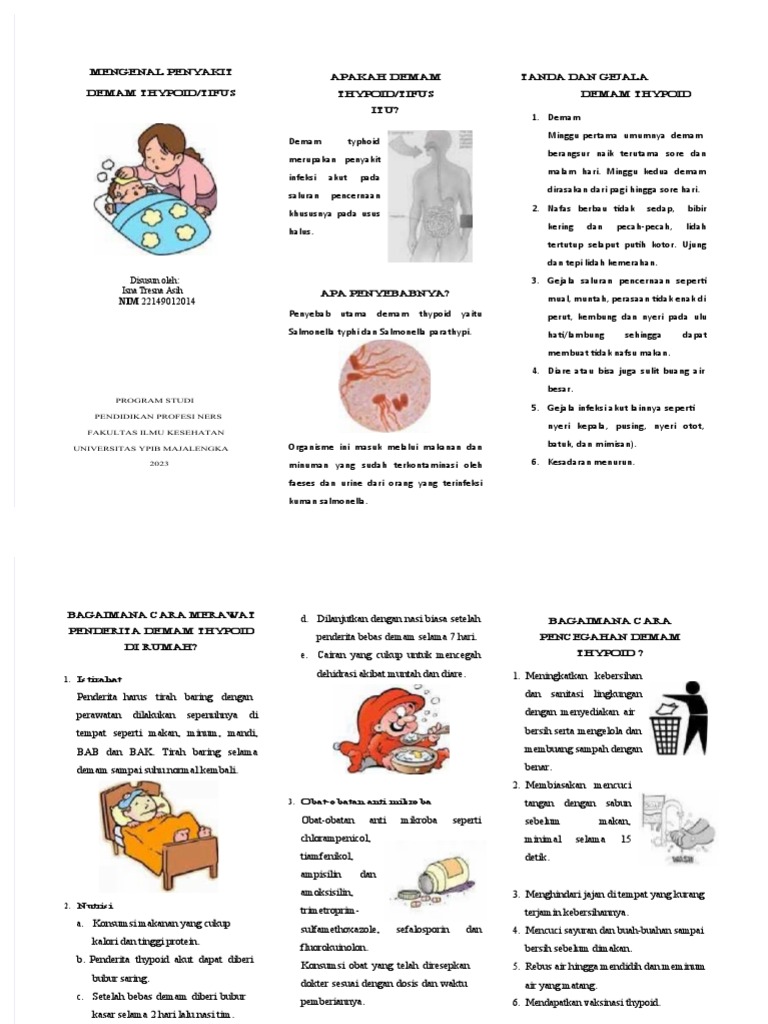 Leaflet Typoid | PDF