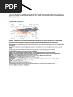 Elevator Terms Dictionary | PDF | Elevator | Door