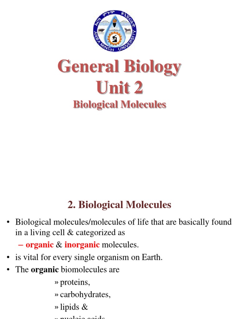 Biology Basics: Molecules of Life | PDF | Carbohydrates | Lipid
