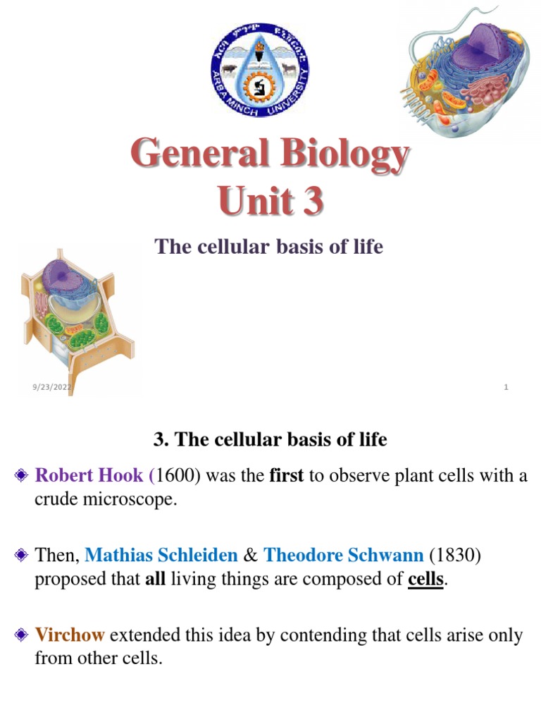 Unit 3 The Cellular Basis of Life | PDF | Cell Nucleus | Cell (Biology)