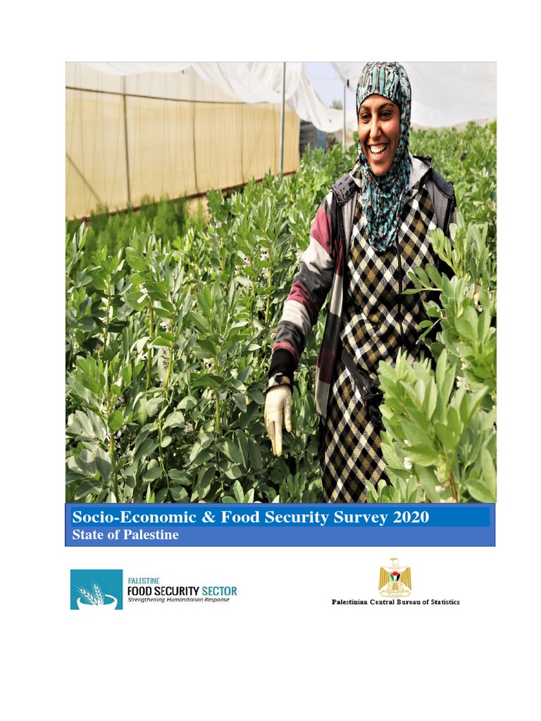 Socio-Economic and Food Security Survey (SEFSec) - 2020 Full Report ...