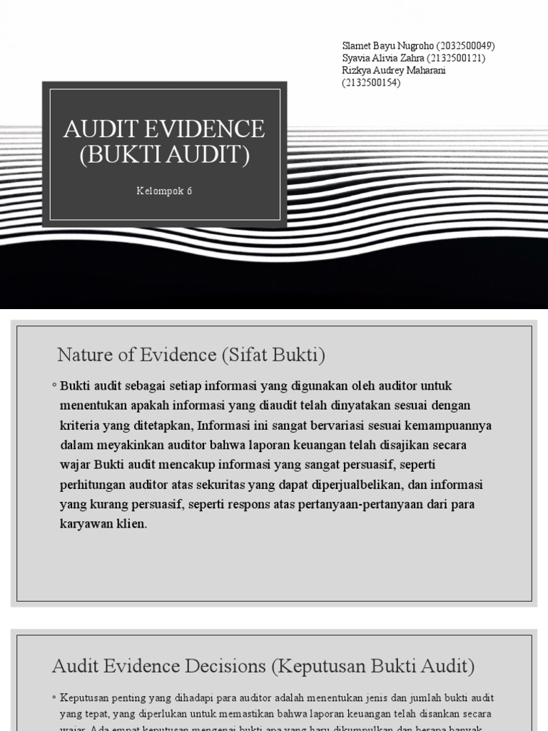 Audit Evidence | PDF