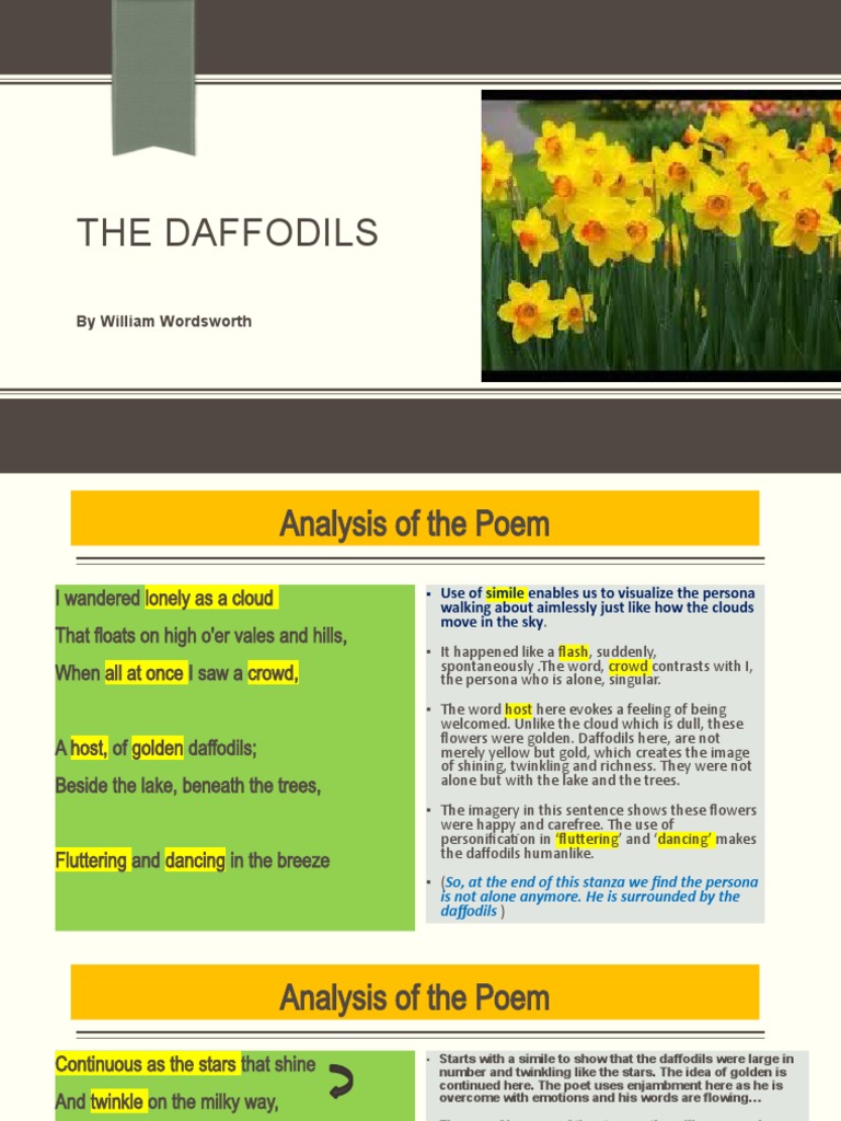 Daffodils | PDF