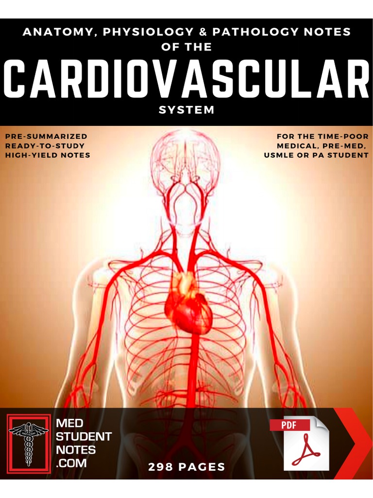 Cardiovascular Notes - All in One File | PDF | Heart Valve | Coronary ...