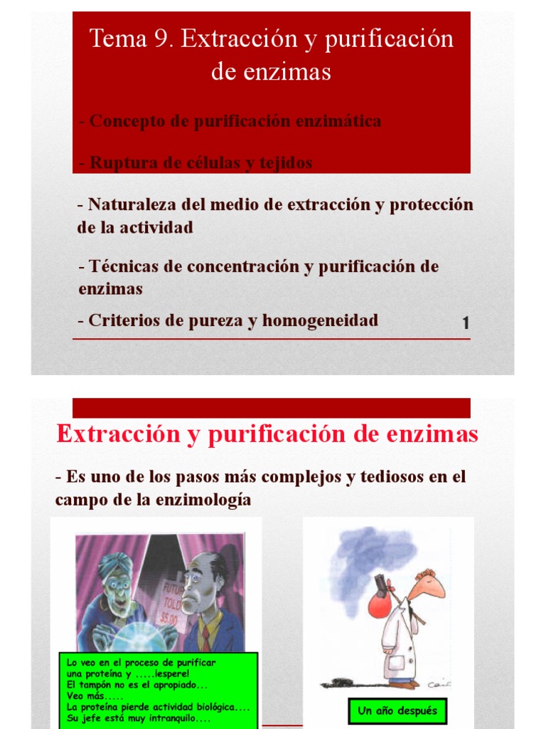 Presentación Tema 9 | PDF | Enzima | Proteínas