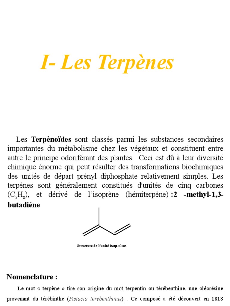 Cours 2 Les Terpénes Pdf