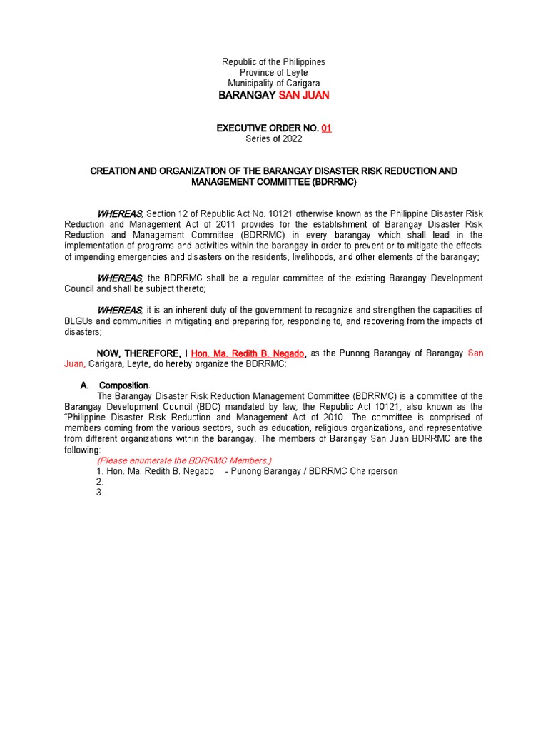 Barangay San Juan Disaster Plan | PDF | Emergency Management | Health ...
