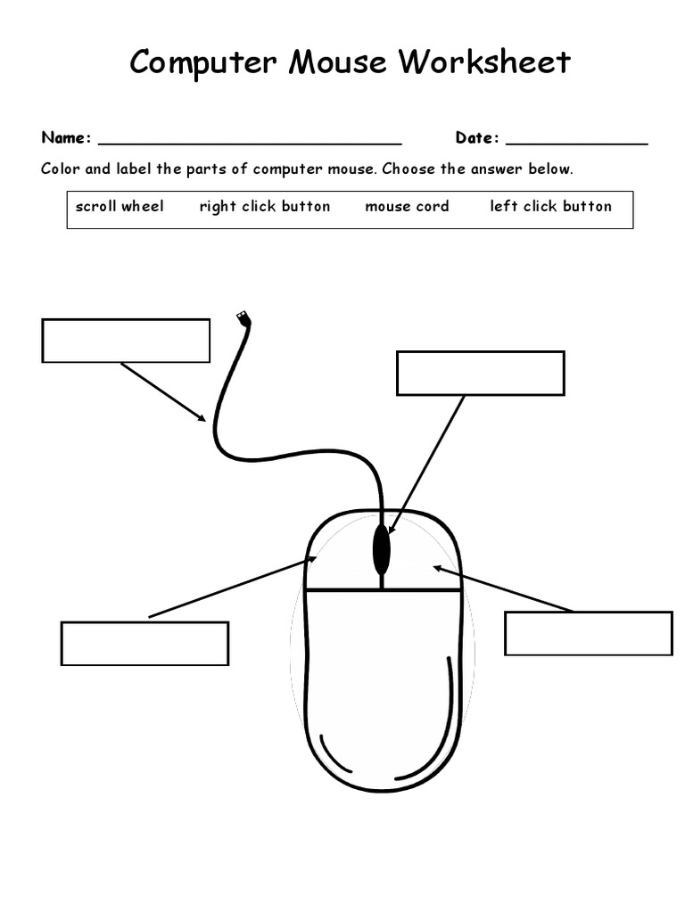 Computer Mouse Worksheet: Name: - Date | PDF