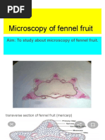 Macroscopy and Microscopy of Flowering Bud of Clove | PDF