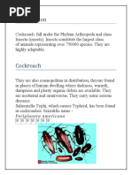 Cockroach Ncert | PDF
