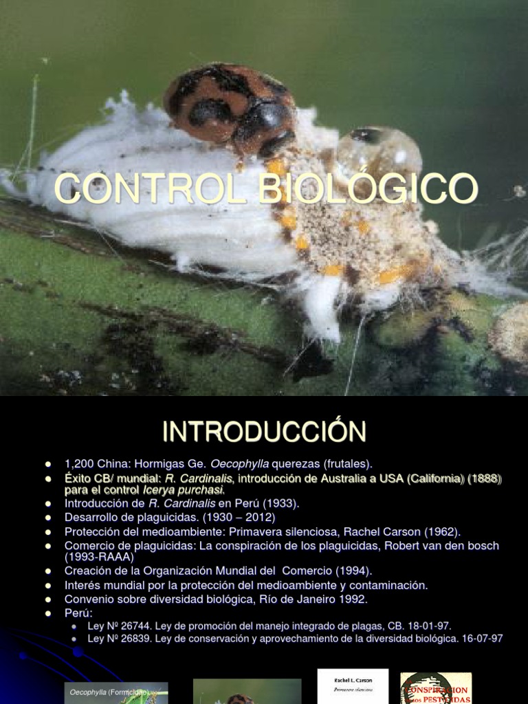 Control Biologico | Descargar gratis PDF | Control biológico de plagas ...