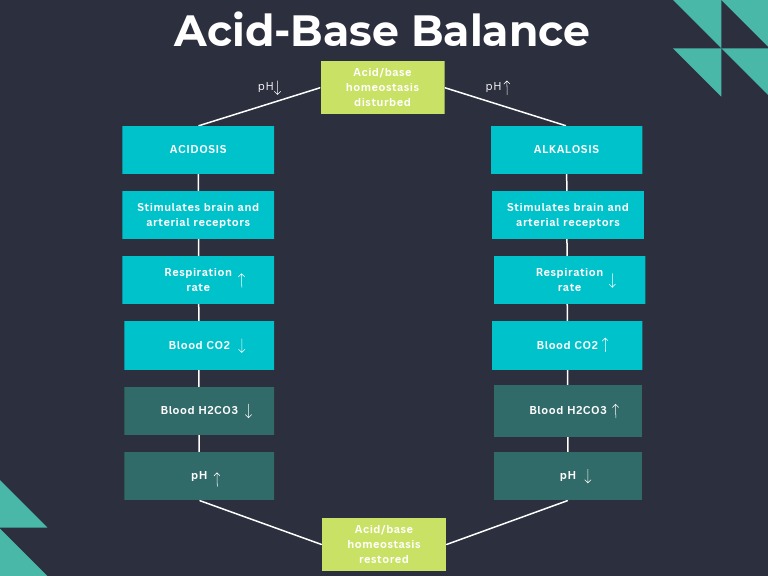 Acid Base Balance | PDF
