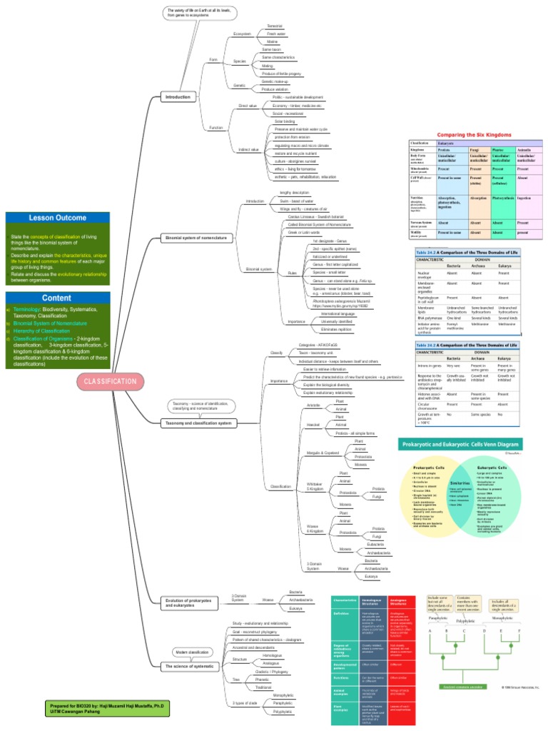 Mindmap Bio320 Chapter 1 Classification | PDF | Taxonomy (Biology ...