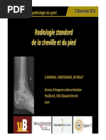 Radioanatomie Cheville-Pied | PDF | Pied | Système squelettique