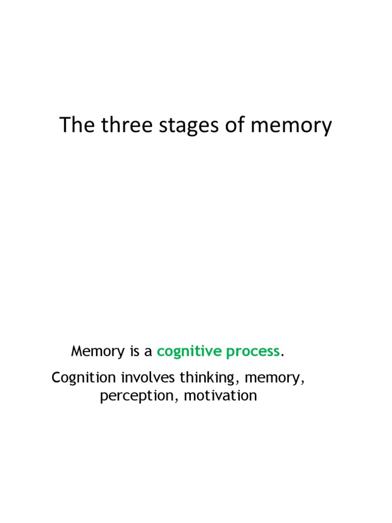 The Three Stages of Memory (Read-Only) | PDF