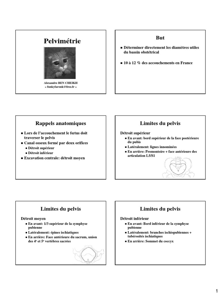 Mesures de pelvimétrie obstétricale | PDF | Bassin (anatomie ...