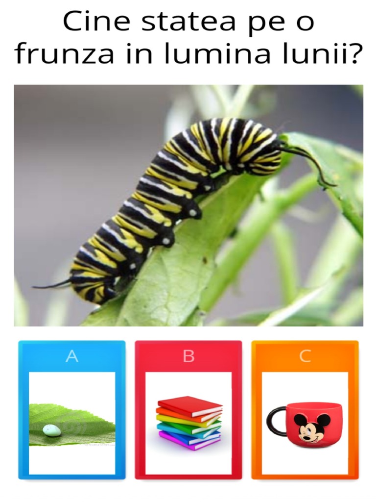 Omida Mancacioasa | PDF