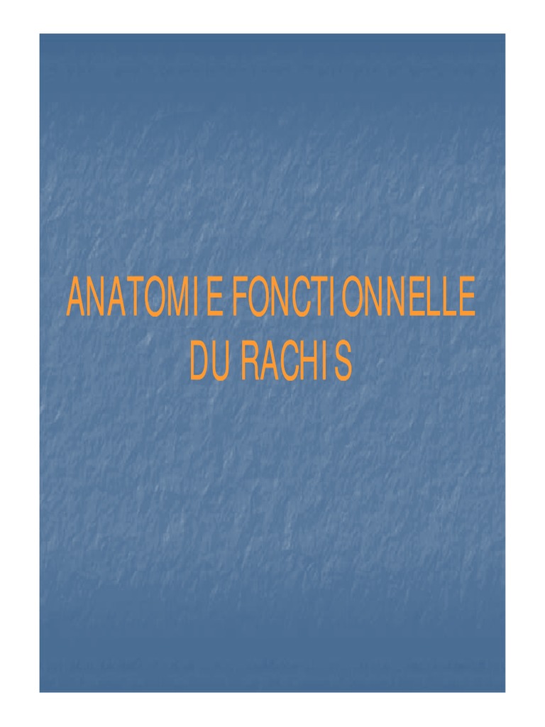 Membrana Tectoria et Rachis | PDF | Vertèbre | Colonne vertébrale