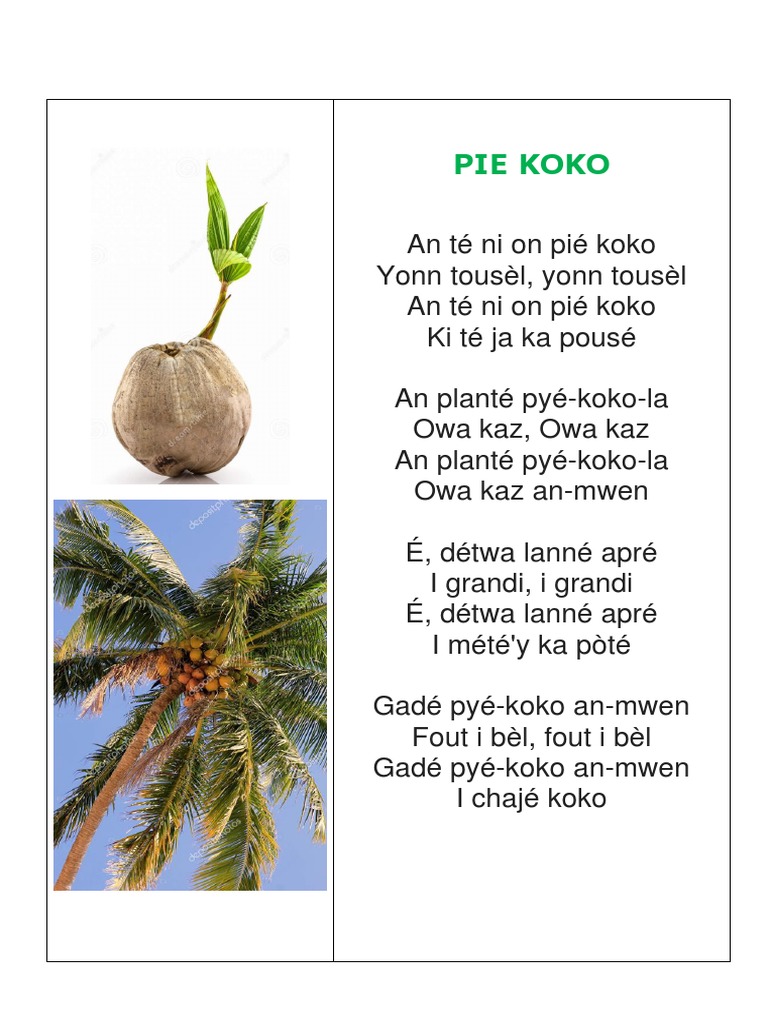 An Té Tini On Koko | PDF