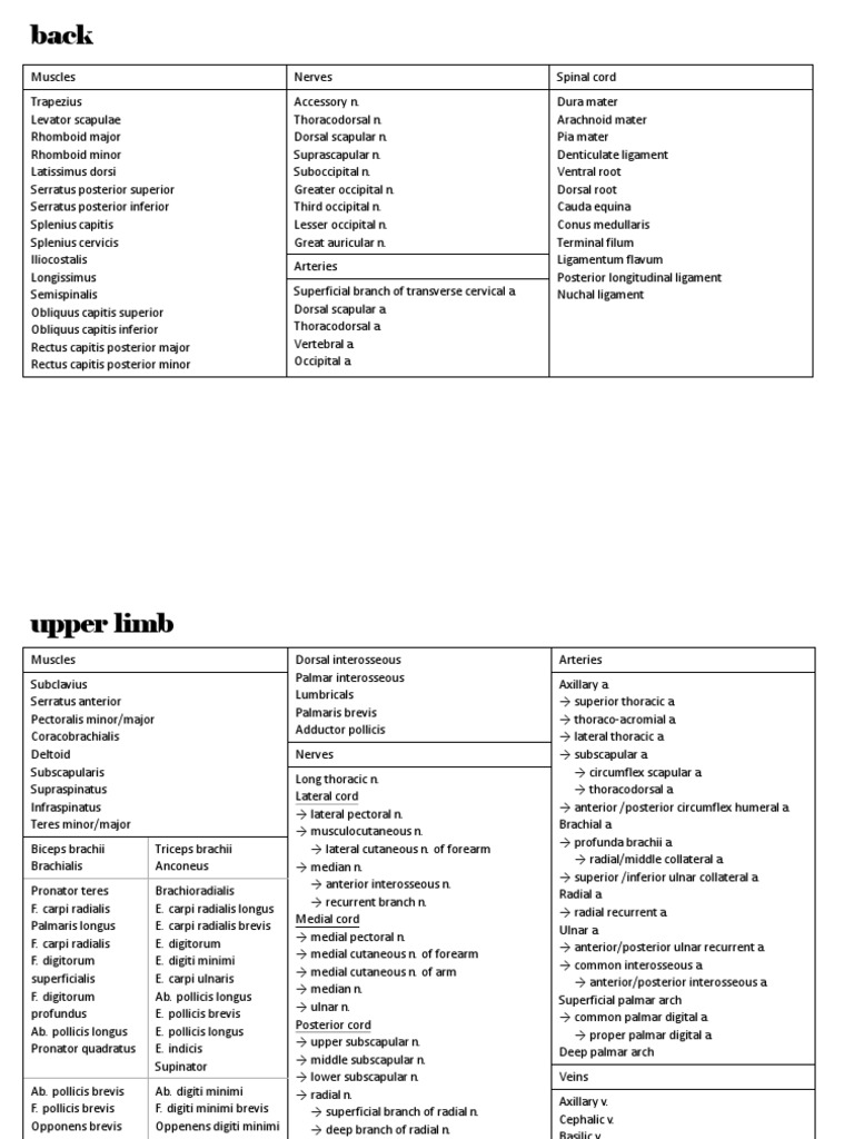 Back, Upper Limb, Thorax and Abdomen Muscles, Nerves and Arteries | PDF ...