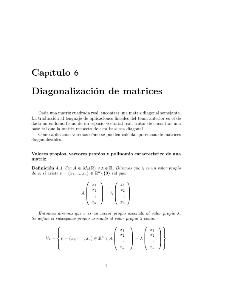 Tema 6. Diagonalización de Matrices | PDF | Valores propios y vectores propios | Matriz ...