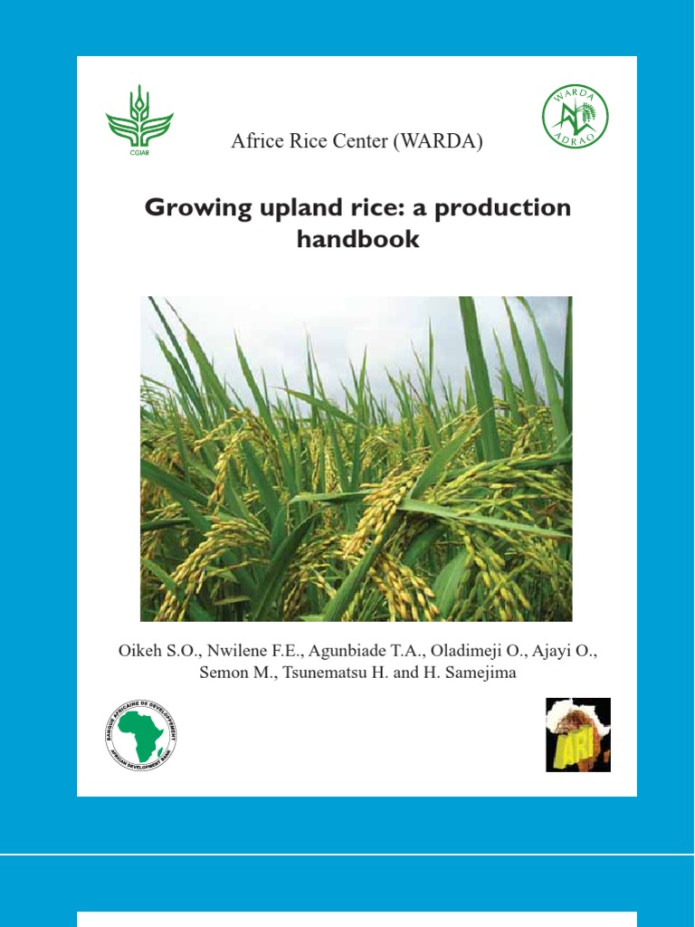 Upland Rice | PDF | Fertilizer | Rice