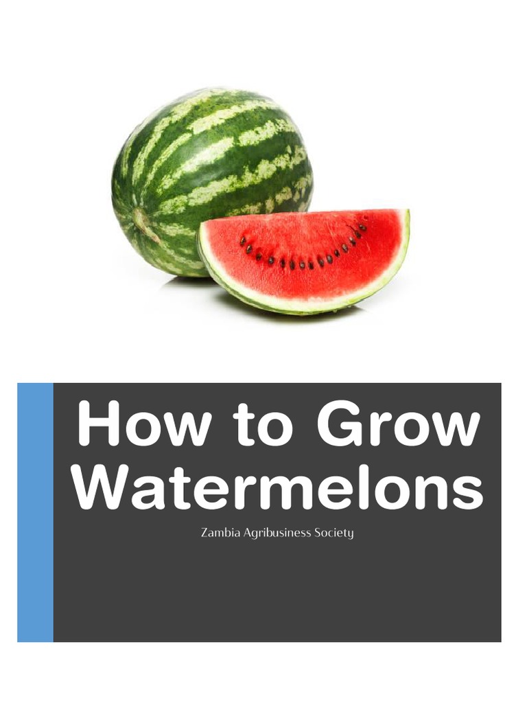How To Grow Watermelons - ZAS | PDF | Watermelon | Soil